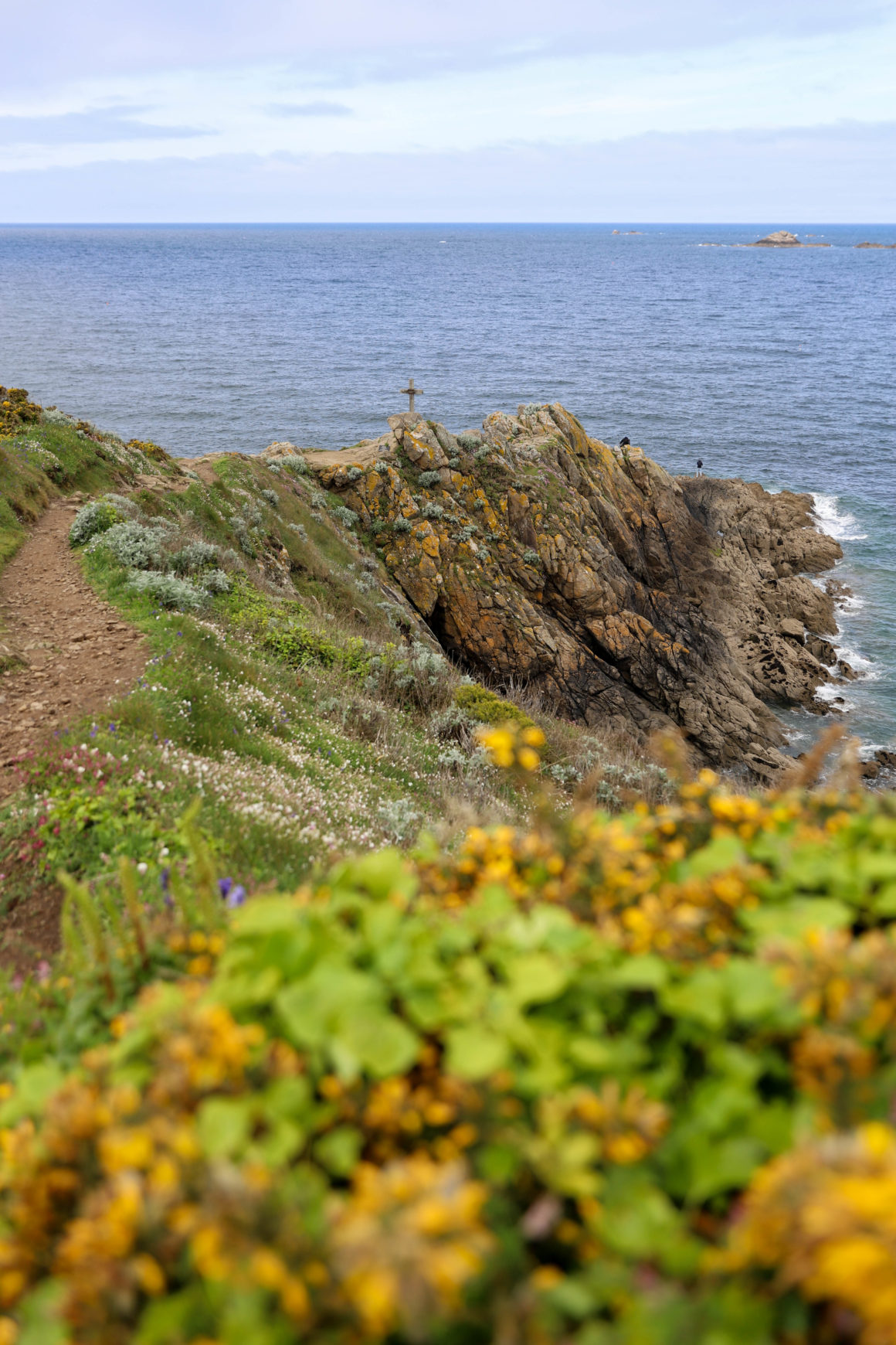 Les rochers sculptés de Rothéneuf | Jardin Potager