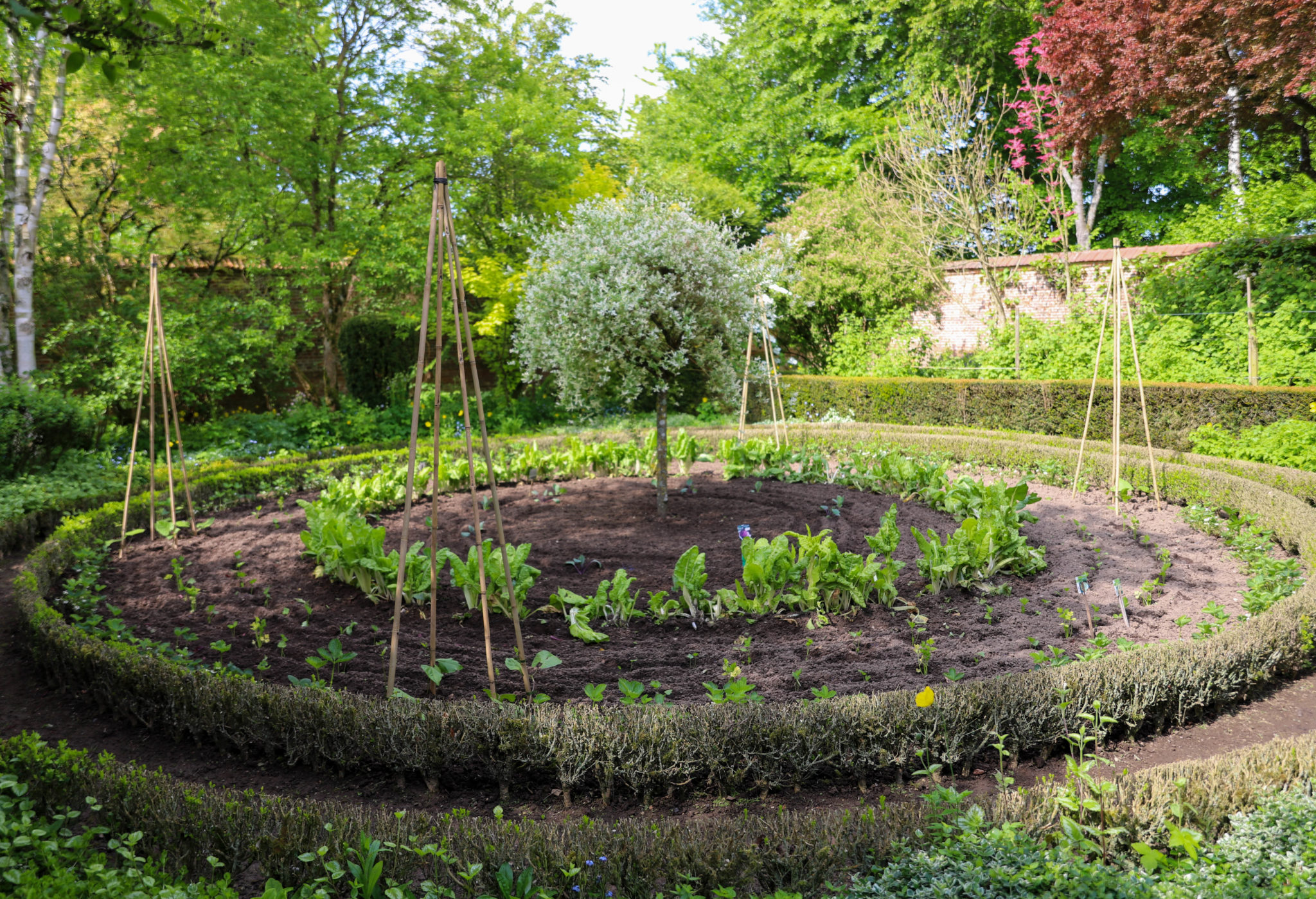 Le jardin floral du château de Digeon | Jardin Potager
