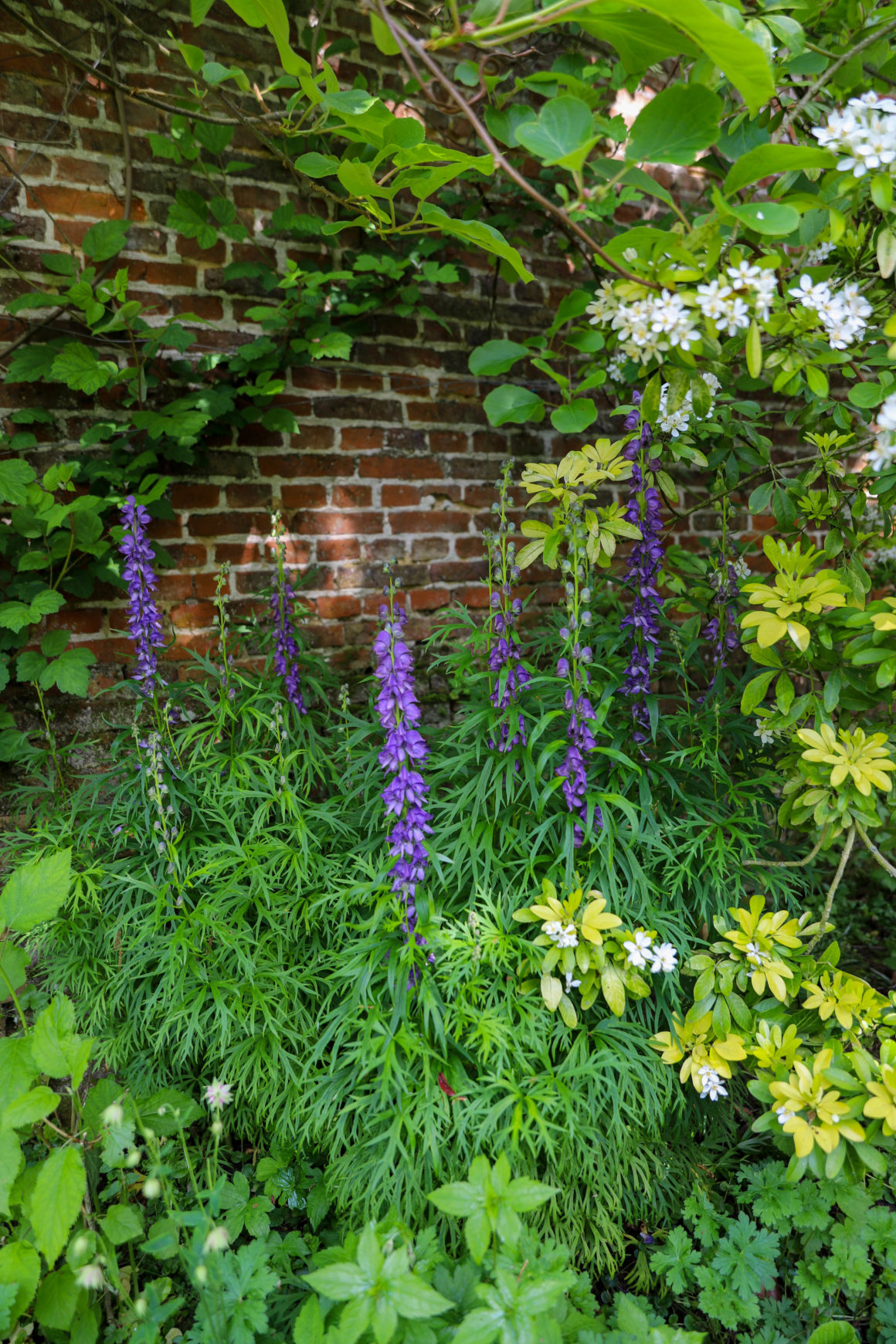 Le jardin floral du château de Digeon | Jardin Potager