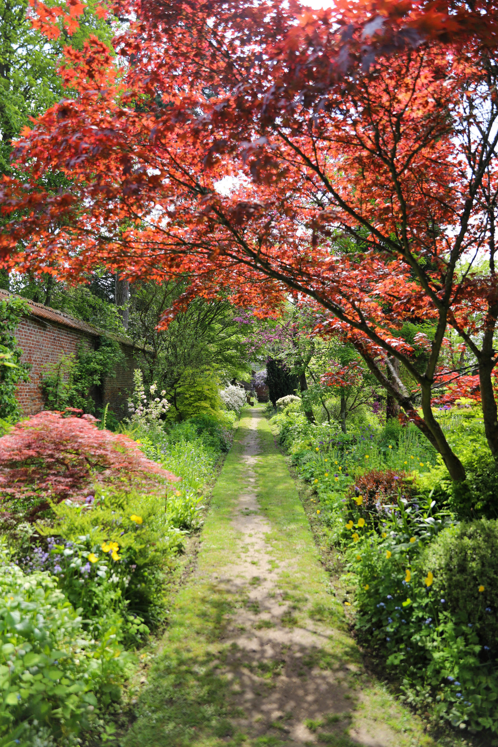 Le jardin floral du château de Digeon | Jardin Potager