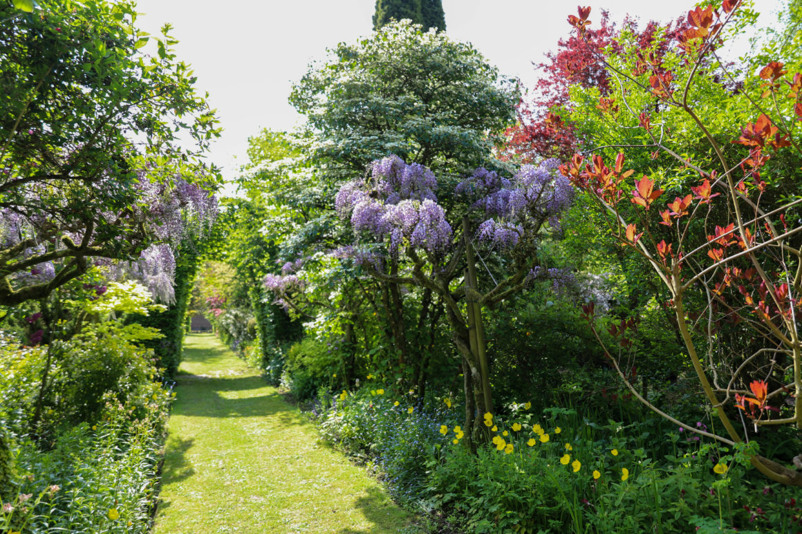 Le jardin floral du château de Digeon | Jardin Potager