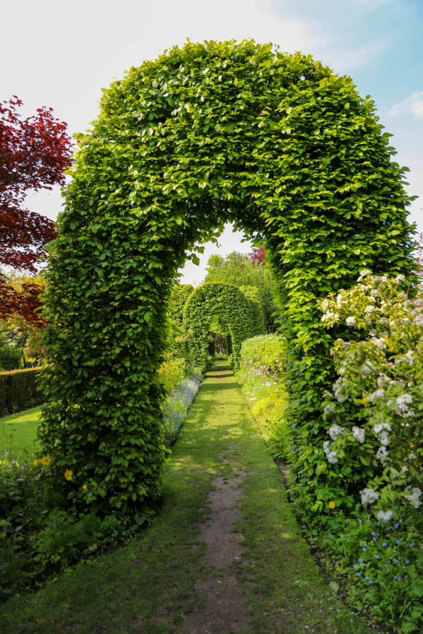 Le jardin floral du château de Digeon | Jardin Potager