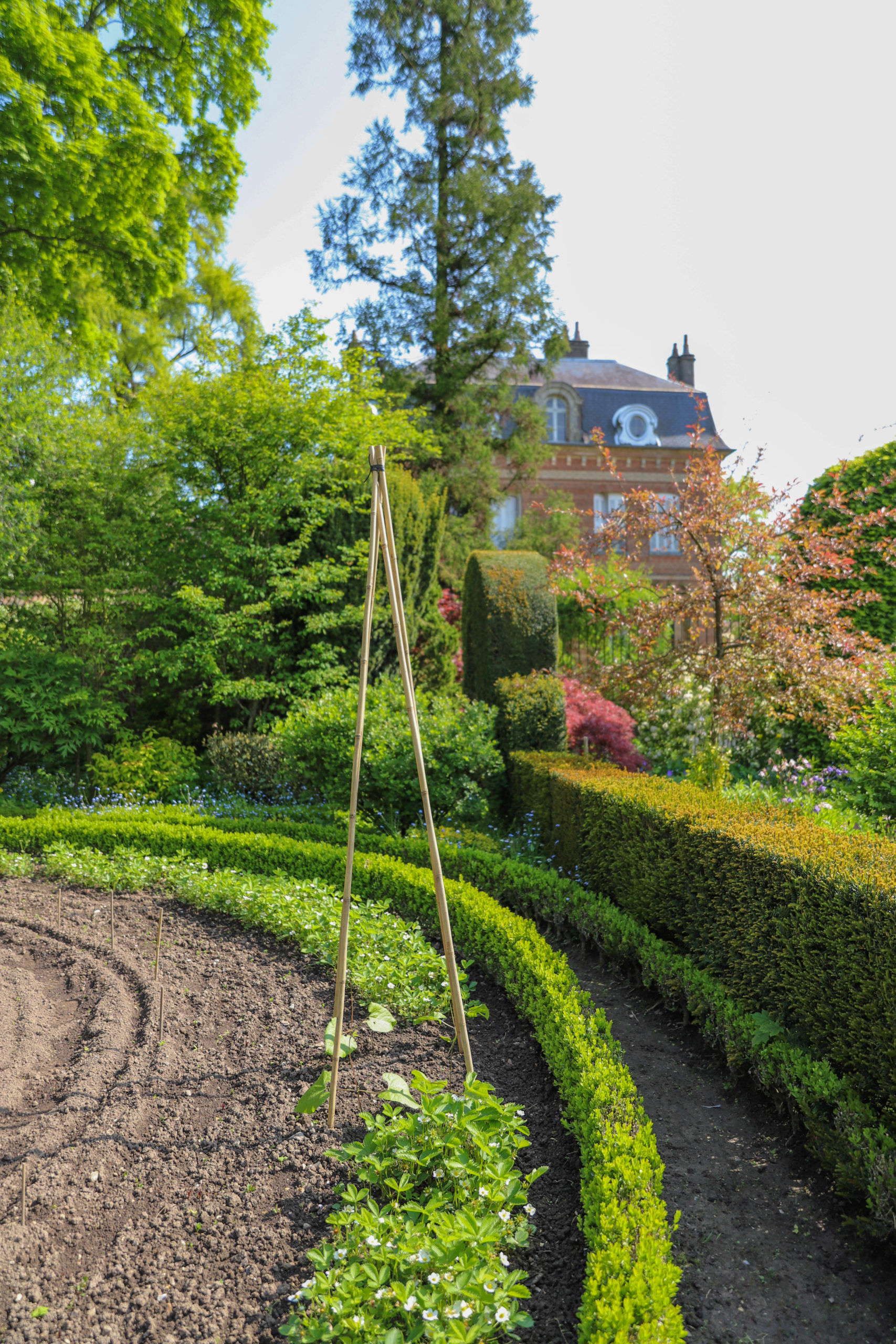 Le jardin floral du château de Digeon | Jardin Potager