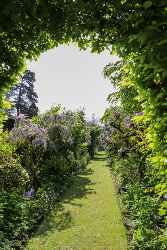 Le jardin floral du château de Digeon | Jardin Potager